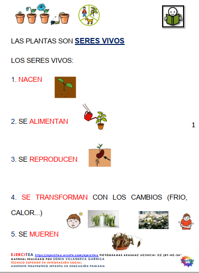UNIDAD DIÁCTICA "LAS PLANTAS"